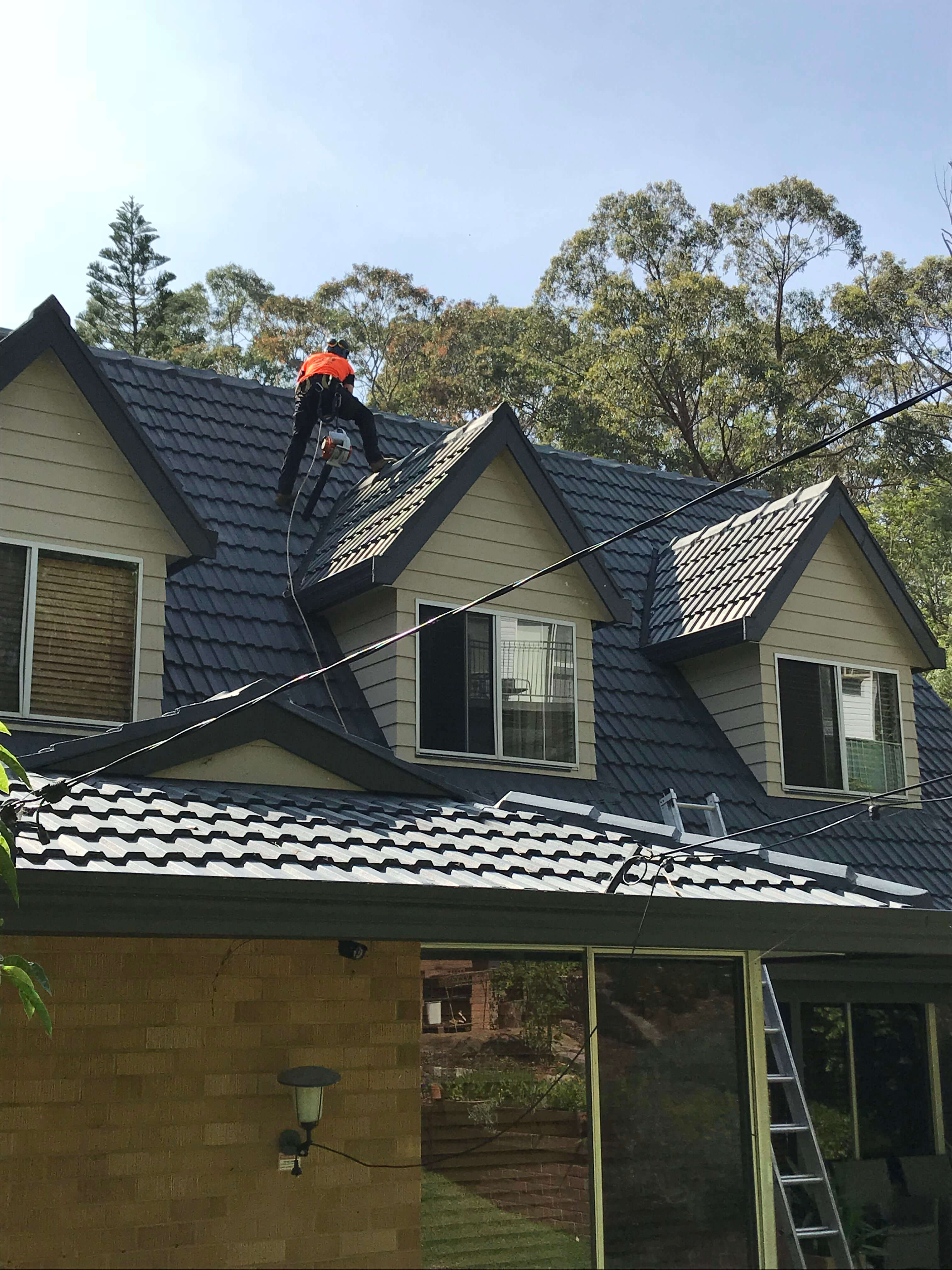 Extreme Guttering - Wolf Trees and Gardens